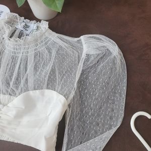 Princess Polly | Tops | Sheer Crop Top | Poshmark